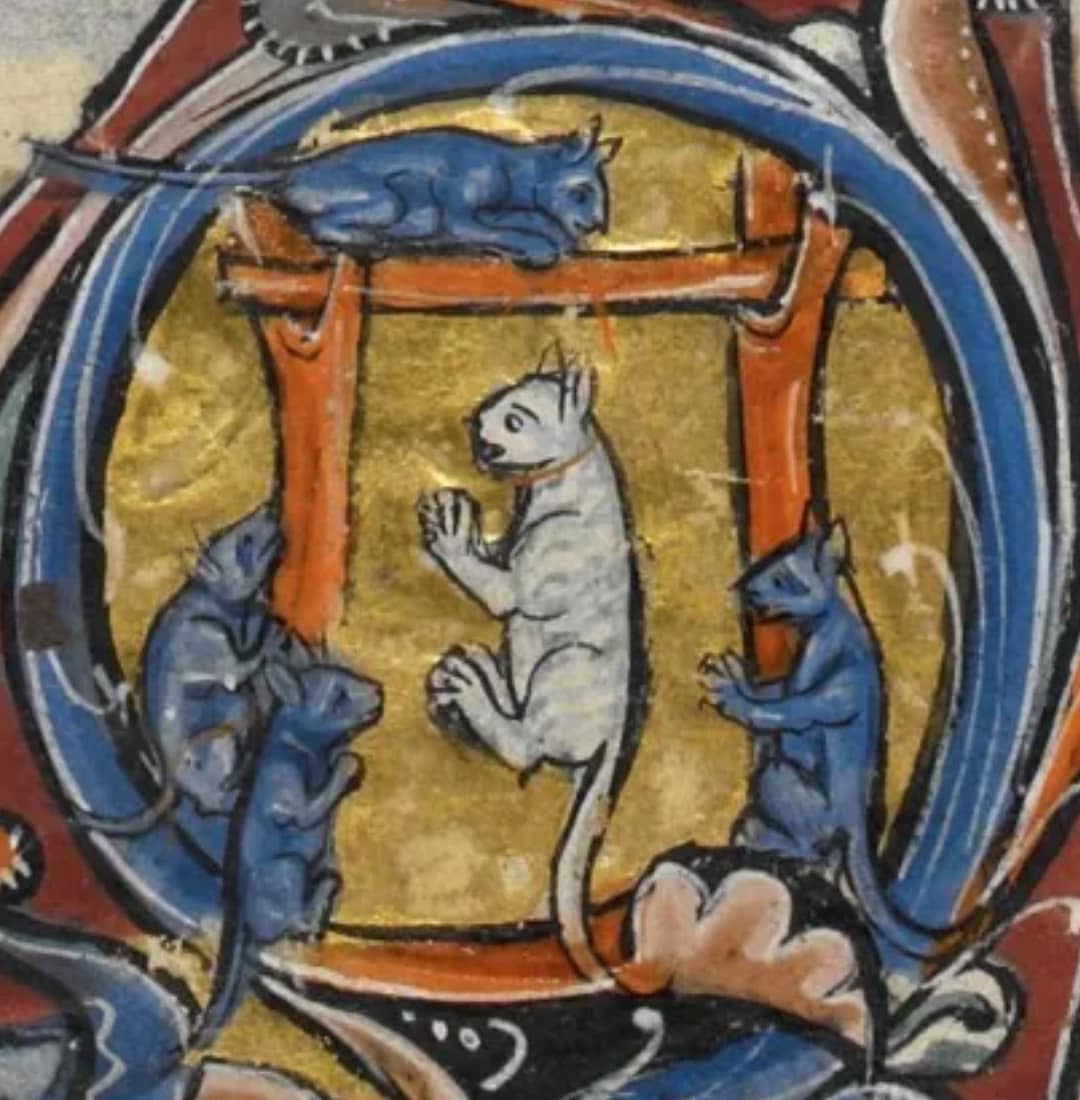 Levitating Cat Medieval Print, Art Gift, Home Decor, Bestiary ...