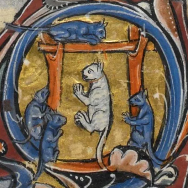 Weird Medieval Cats Calendar - Etsy