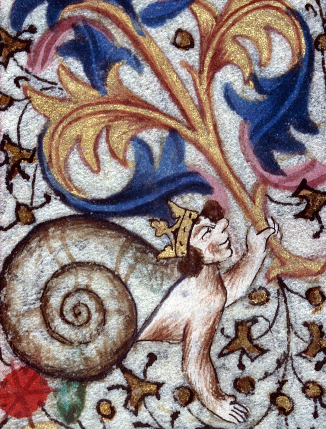 Snail King Medieval Print, Weird Art Gift, Home Decor, Bestiary ...