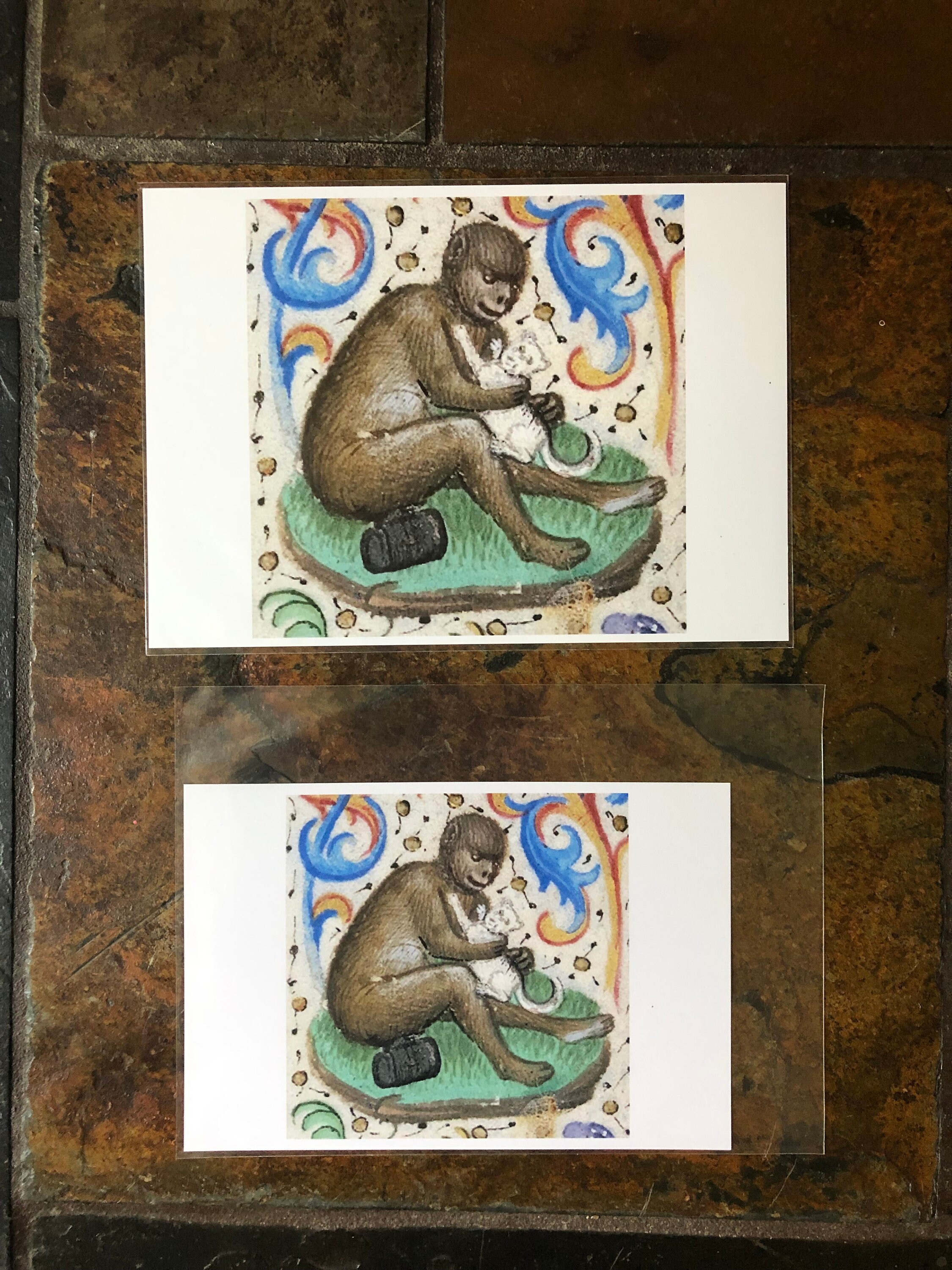Monkey & Cat V Medieval Print, Cute Art Gift, Home Wall Decor, Bestiary ...
