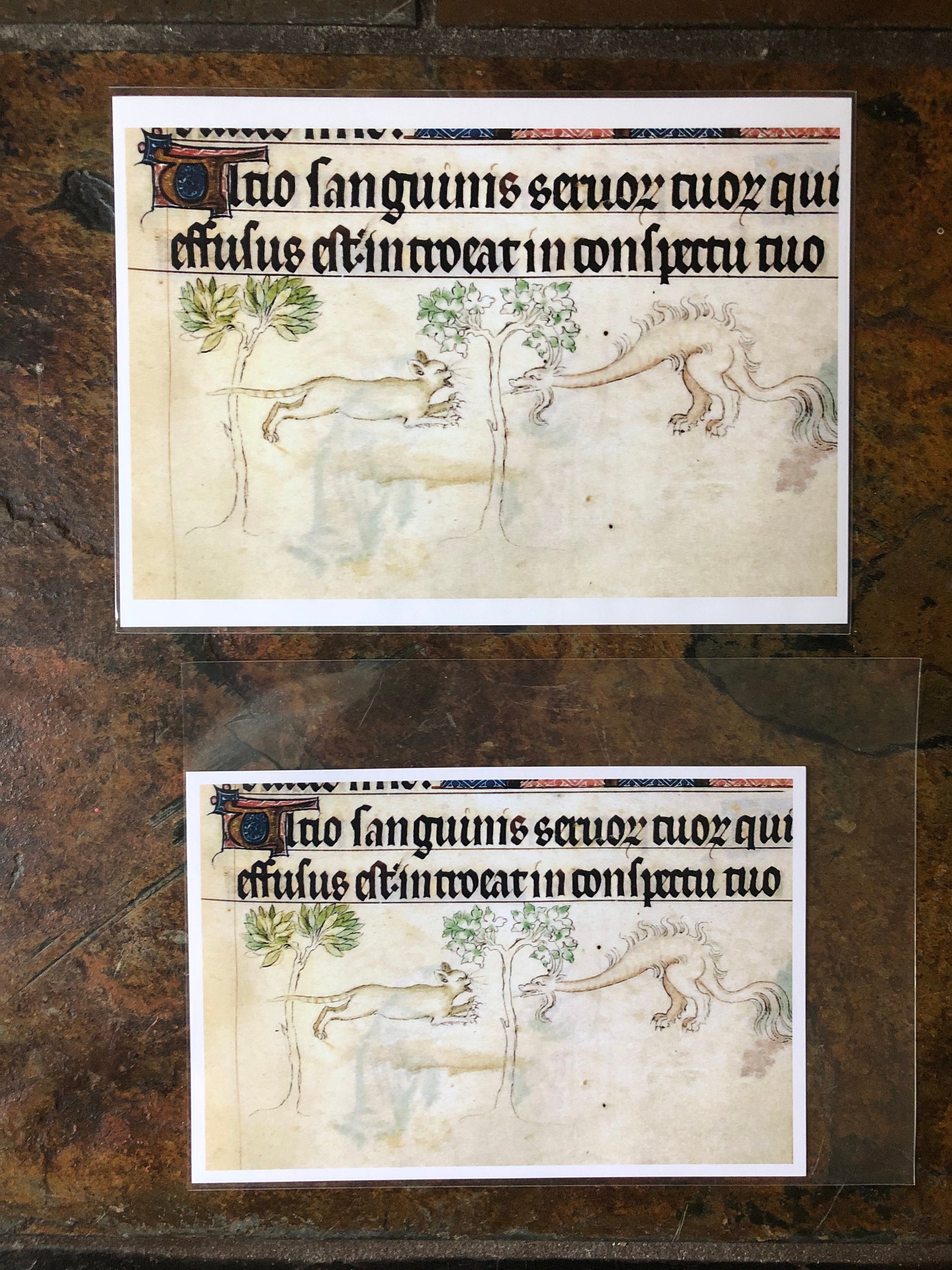 Cat Vs Dragon Medieval Print, Line Art Gift, Home Decor, Bestiary ...