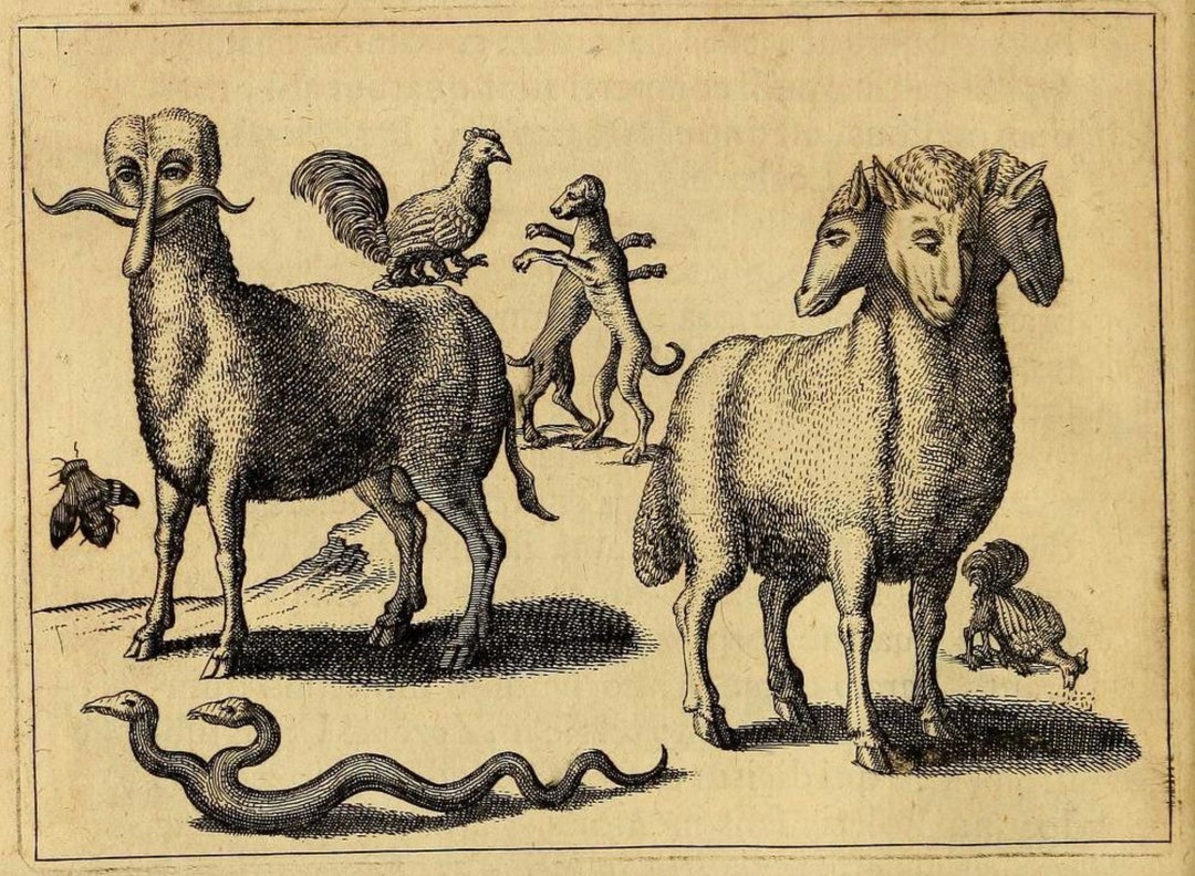 Various Monsters Renaissance Print, Fantasy Art Gift, Bestiary ...