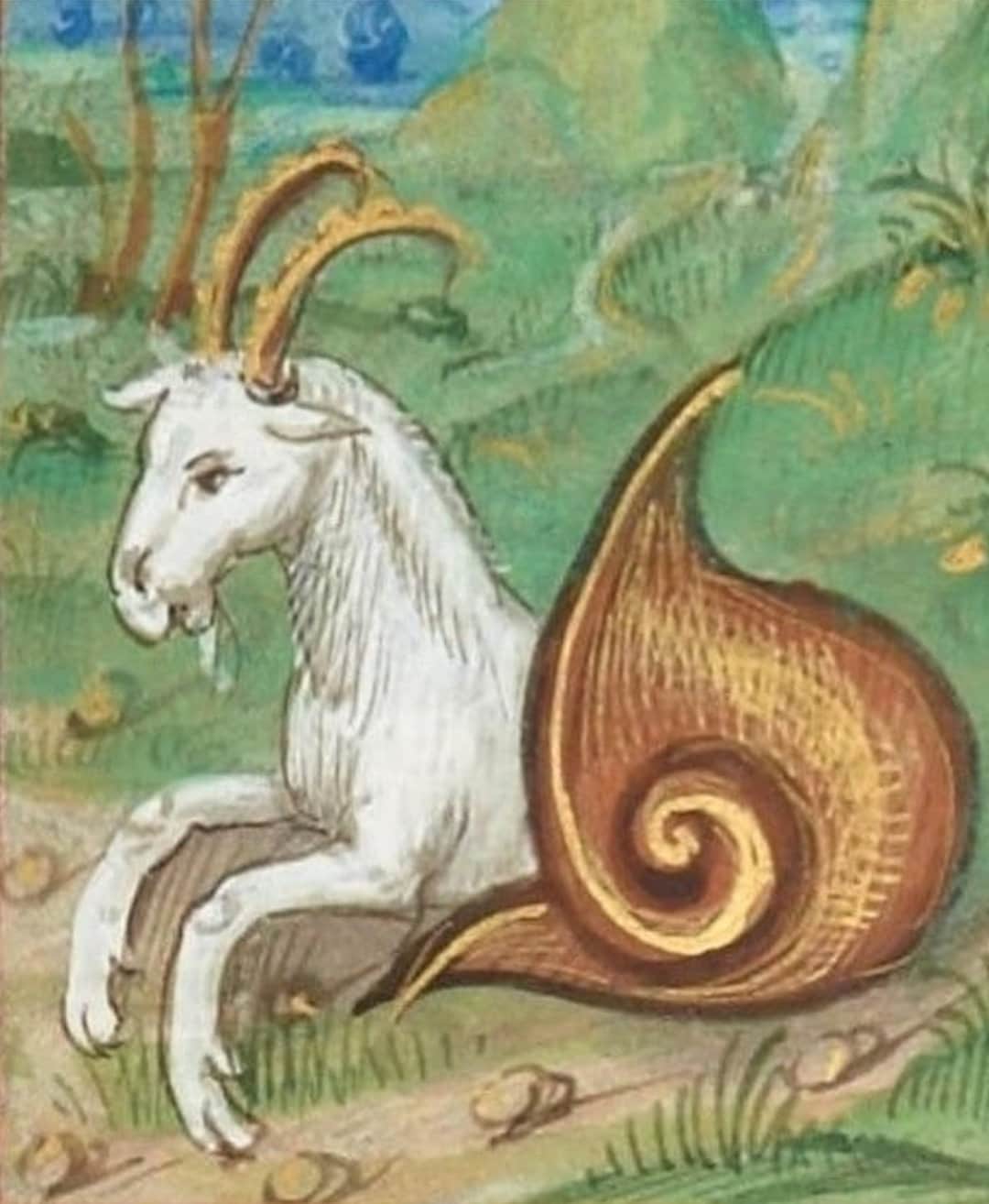 Snail Goat I Medieval Print, Funny Art Gift, Animal Cuteness, Home ...