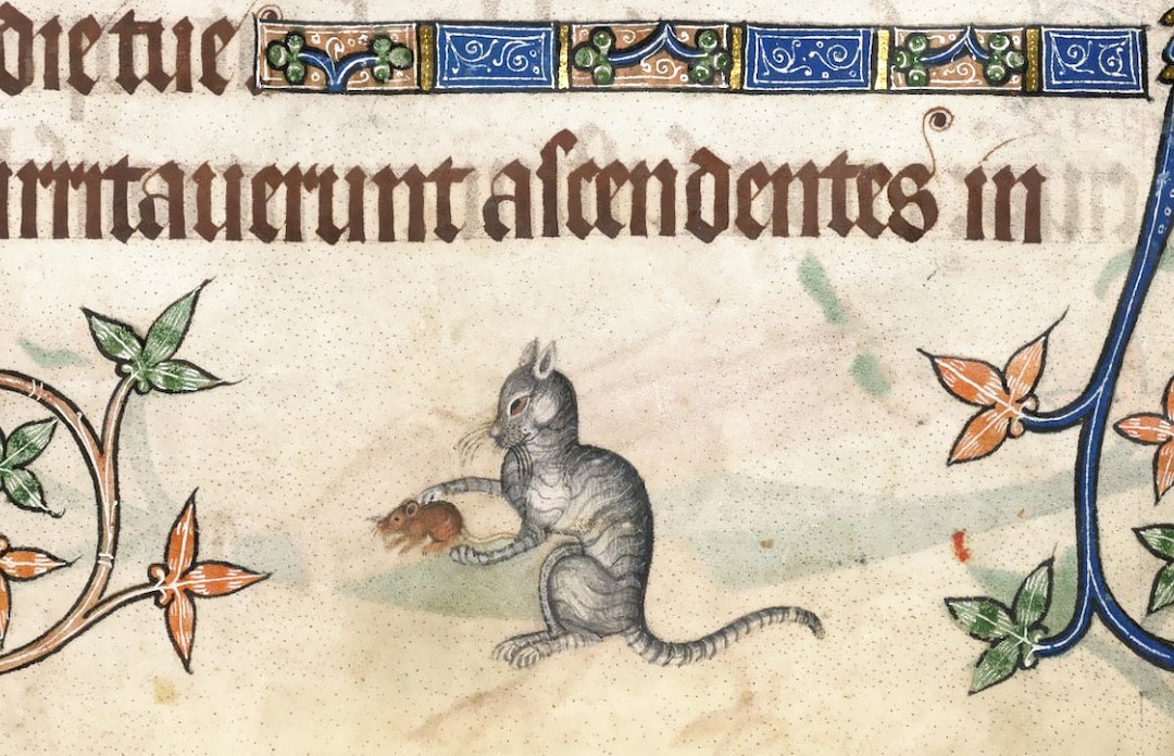 Luttrell Cat Medieval Print, Cat Art Gift, Home Decor, Bestiary ...