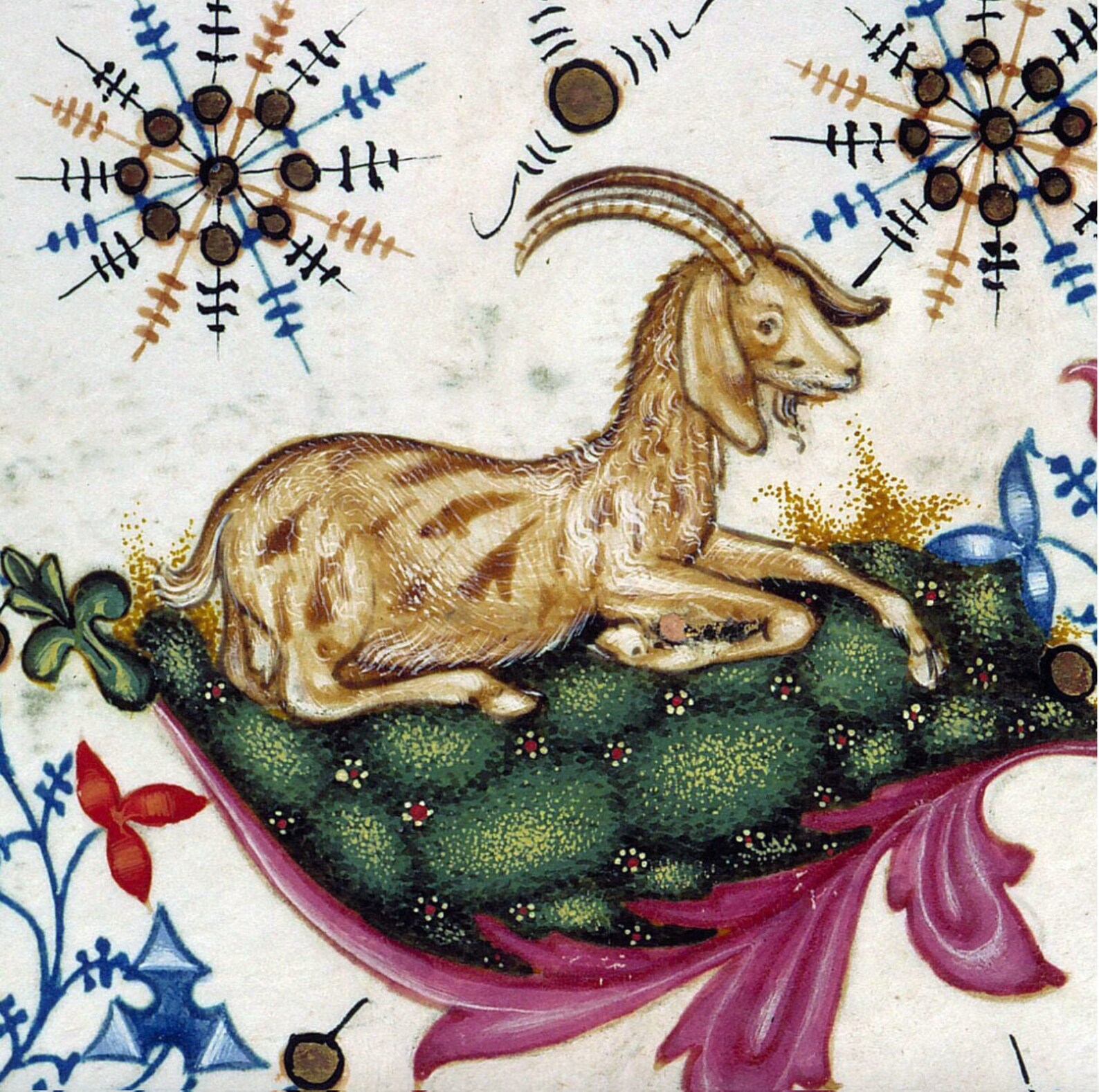 Goat Resting Medieval Print, Goat Gift, Home Decor, Art, Medieval Goats ...