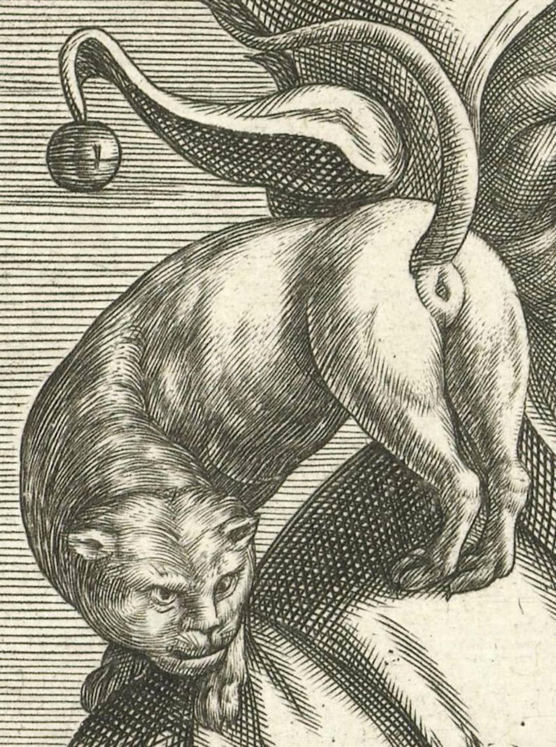 Borthole I Renaissance Print, Cat Art Gift, Home Decor, Bestiary ...