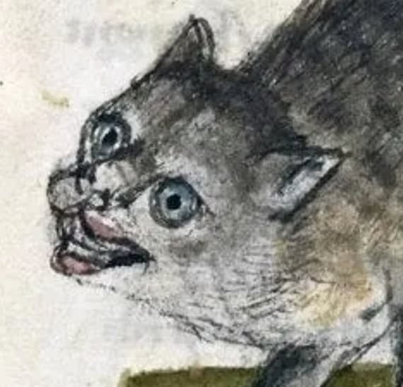 Manic Cat