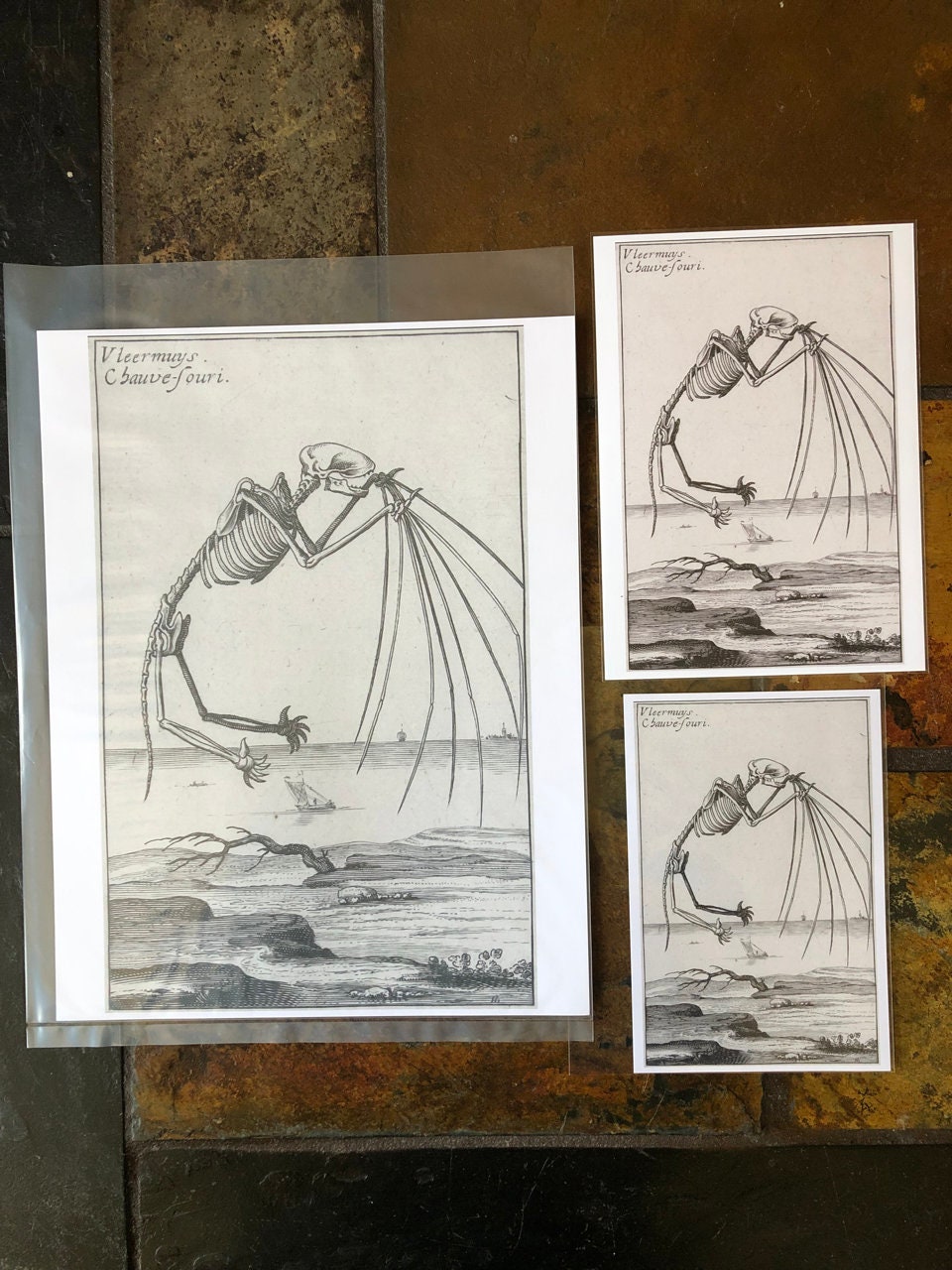 Bat Skeleton Renaissance Print, Goth Art Gift, Home Wall Decor ...