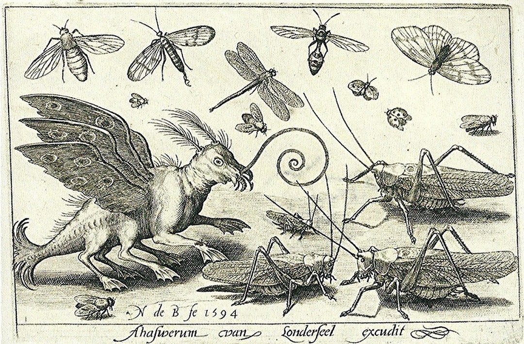 Speculative Locust Dragon Renaissance Art, Bug Gift, Bestiary, Medieval ...