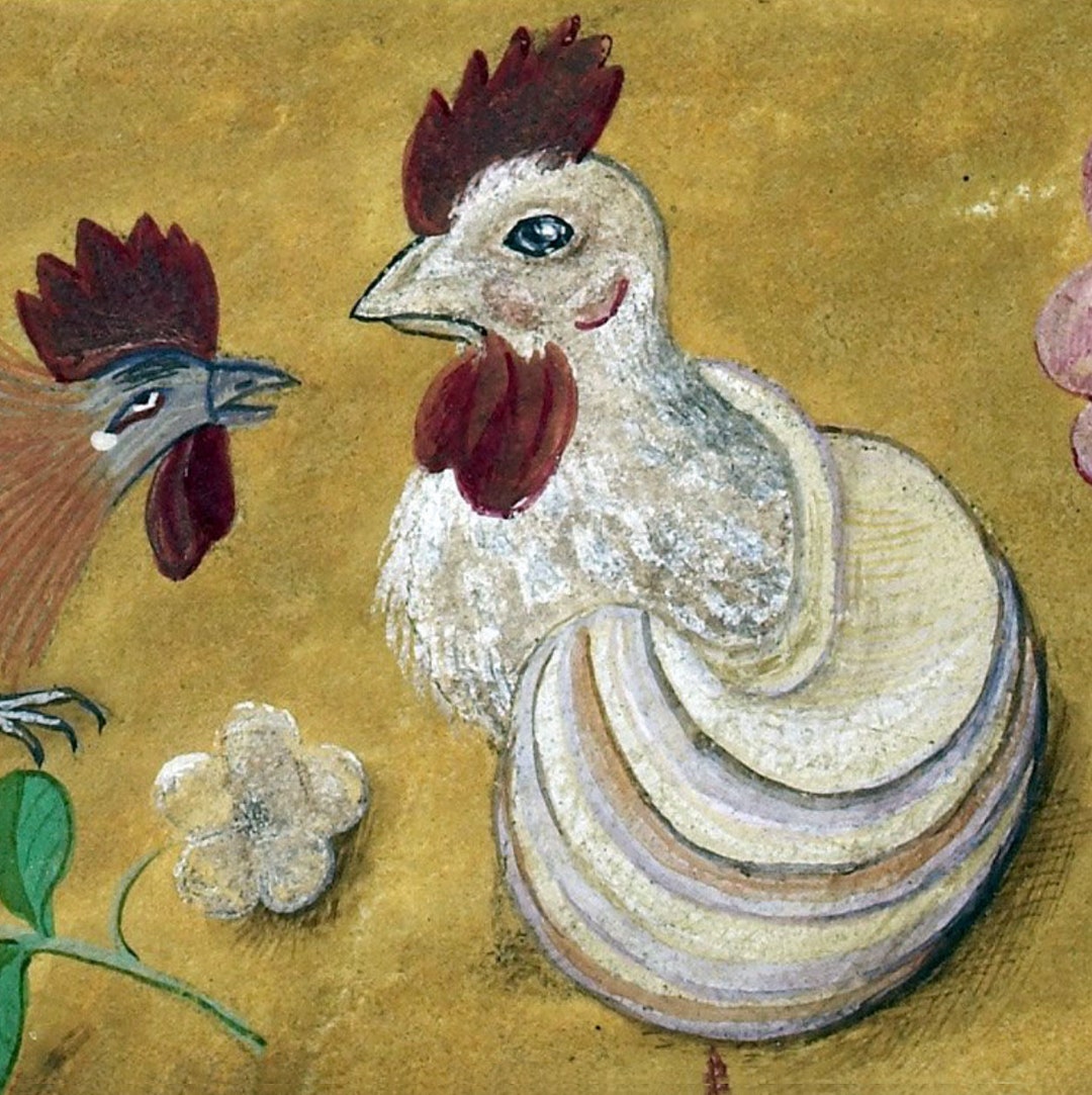 Snail Chicken IV Renaissance Print, Poultry, Home Decor, Bestiary ...