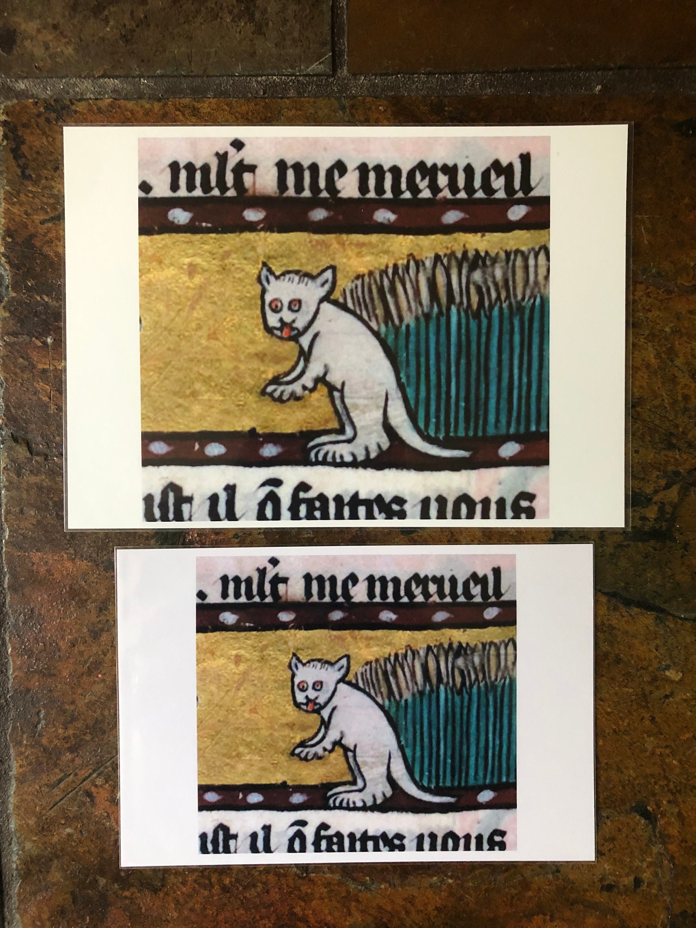 Drunk Cat Medieval Cat Print, Cat Gift, Home Decor, Authentic Art ...