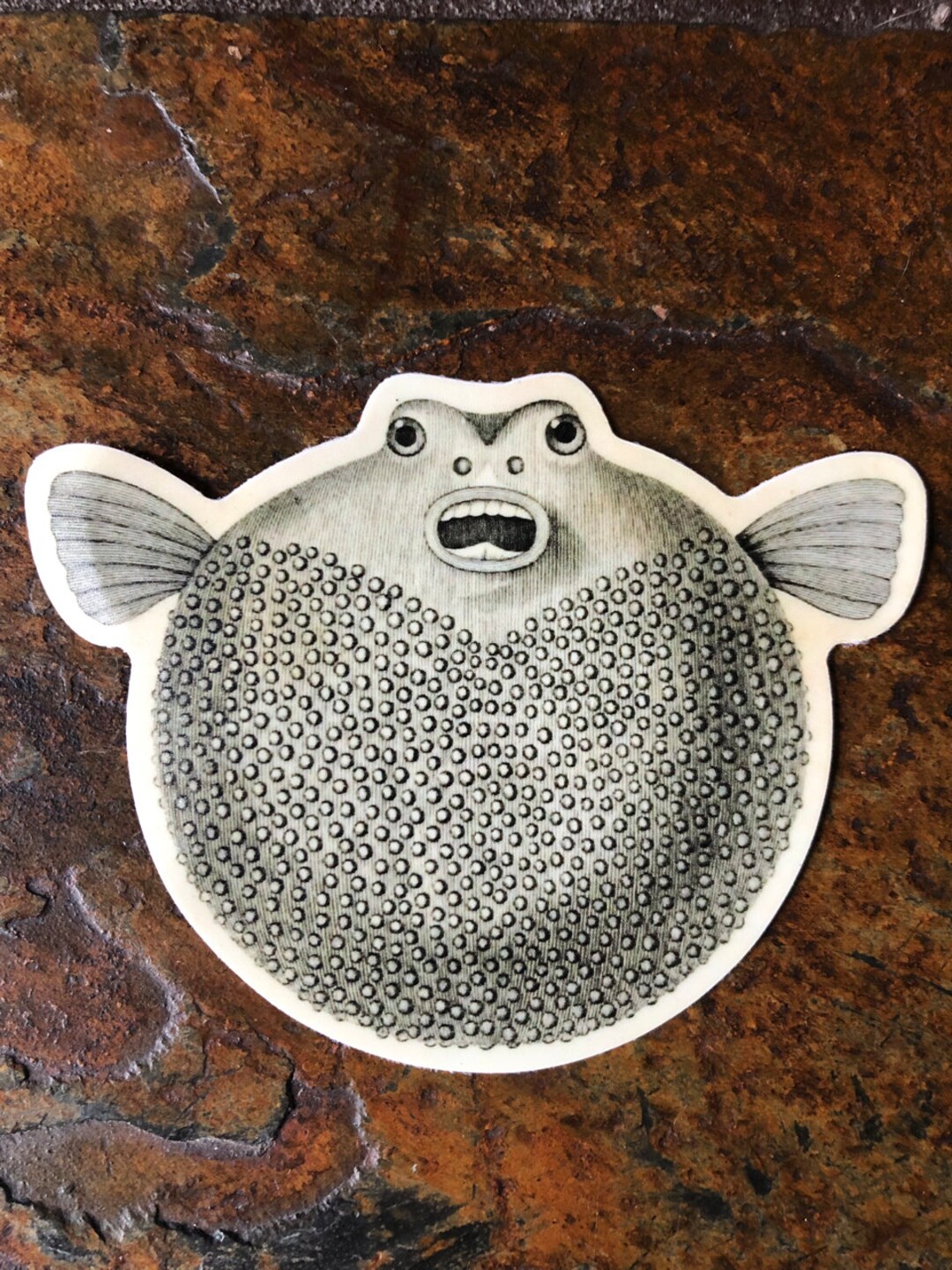 Vinyl Sticker Pufferfish Cutout Medieval Renaissance Art, Weatherproof ...