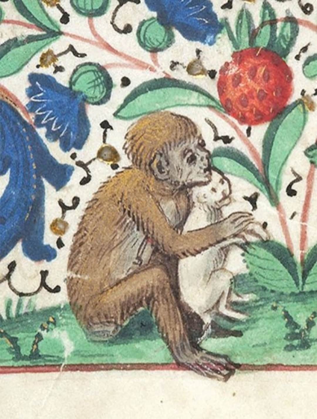Monkey & Cat III Medieval Print, Art Gift, Home Wall Decor, Bestiary ...