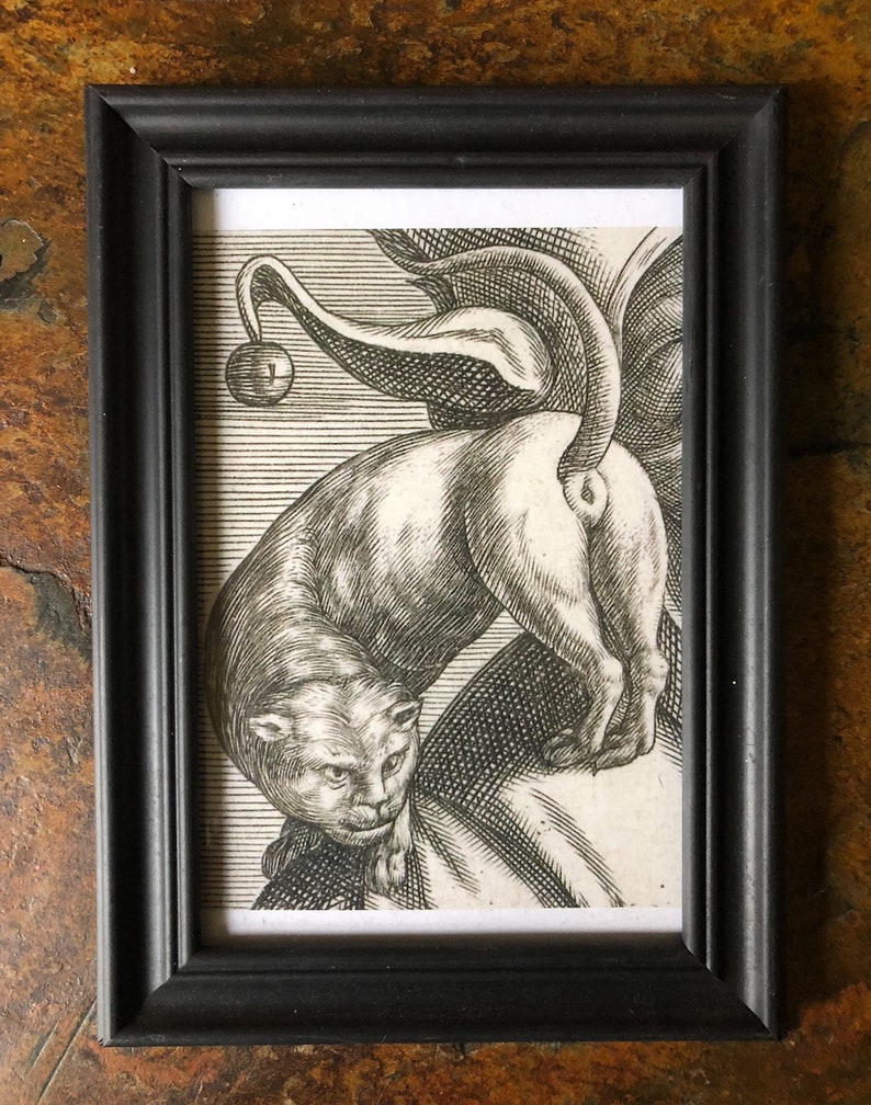Borthole I Renaissance Print, Cat Art Gift, Home Decor, Bestiary ...
