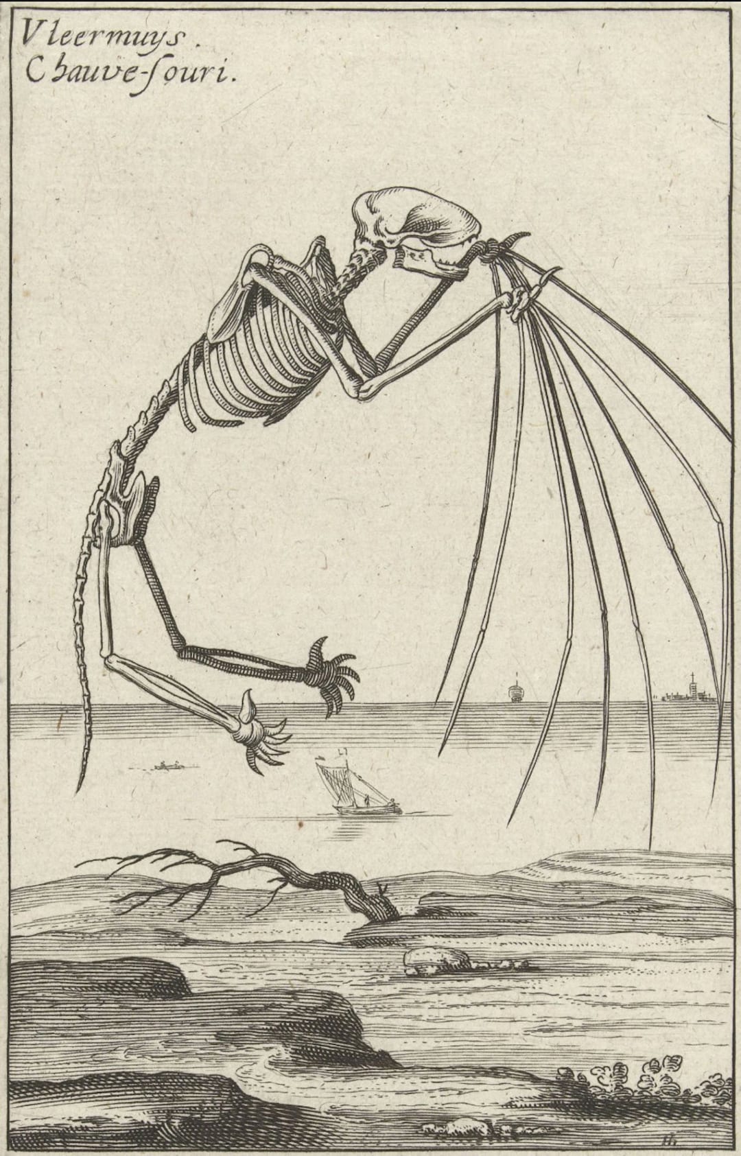 Bat Skeleton Renaissance Print, Goth Art Gift, Home Wall Decor ...