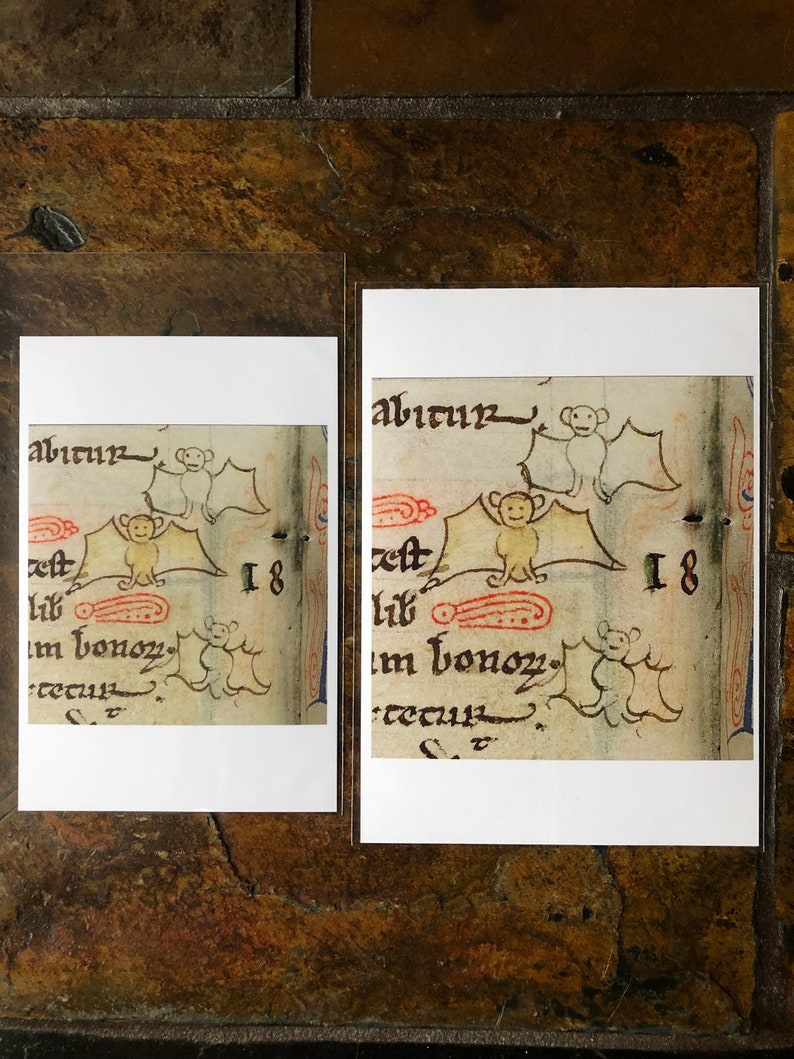 Happy Bats Medieval Print, Gift for Bat Lover, Home Decor, Weird Bat ...