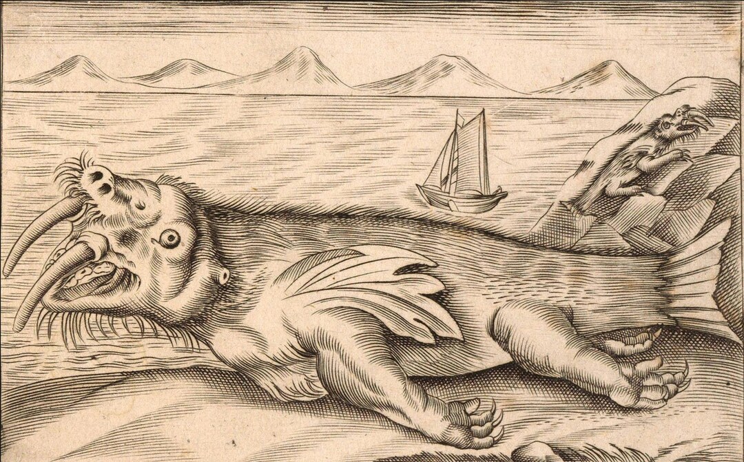 Speculative Walrus I Renaissance Print, Art Gift, Home Wall Decor ...