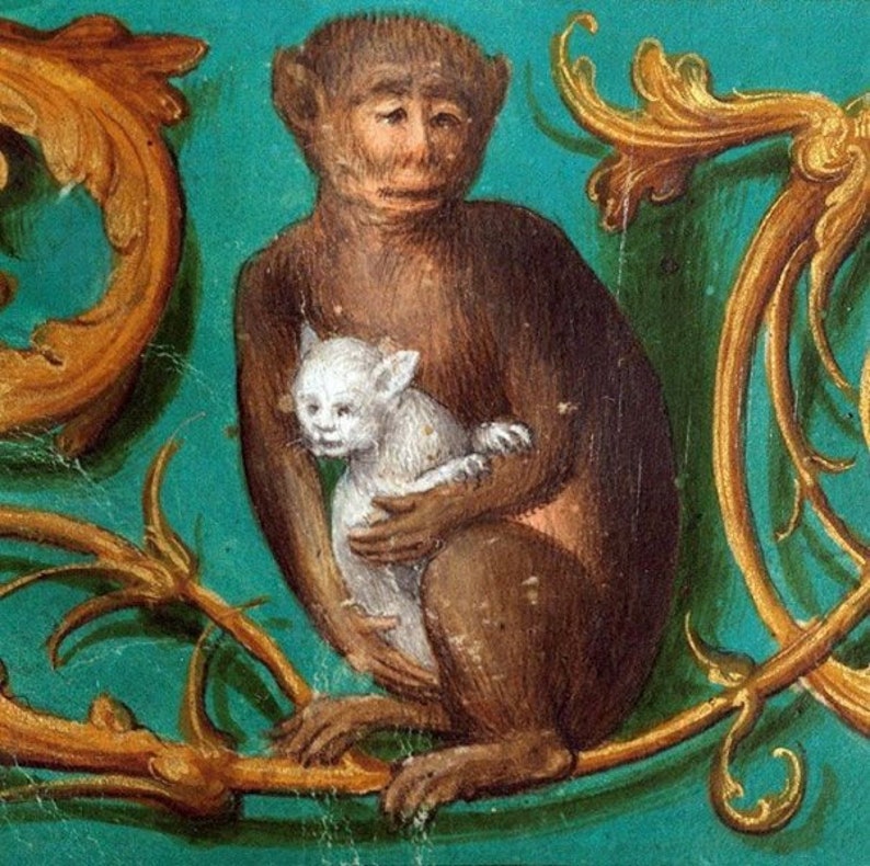 Monkey & Cat I Medieval Print, Art Gift, Home Wall Decor, Bestiary ...