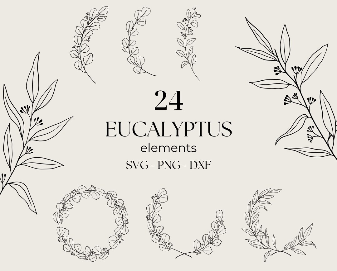 Eucalyptus Bundle Svg, Eucalyptus Clipart, Eucalyptus Svg, Wreath Svg ...