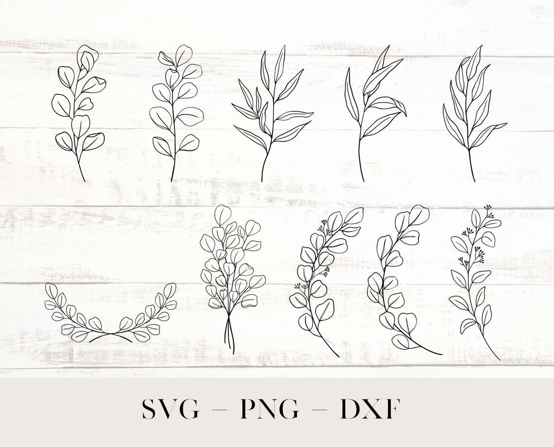 Eucalyptus Bundle Svg Eucalyptus Clipart Eucalyptus Svg - Etsy
