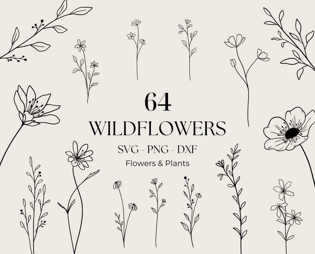 Wildflowers Svg Wildflower Bundle Minimalist Flowers Png Etsy