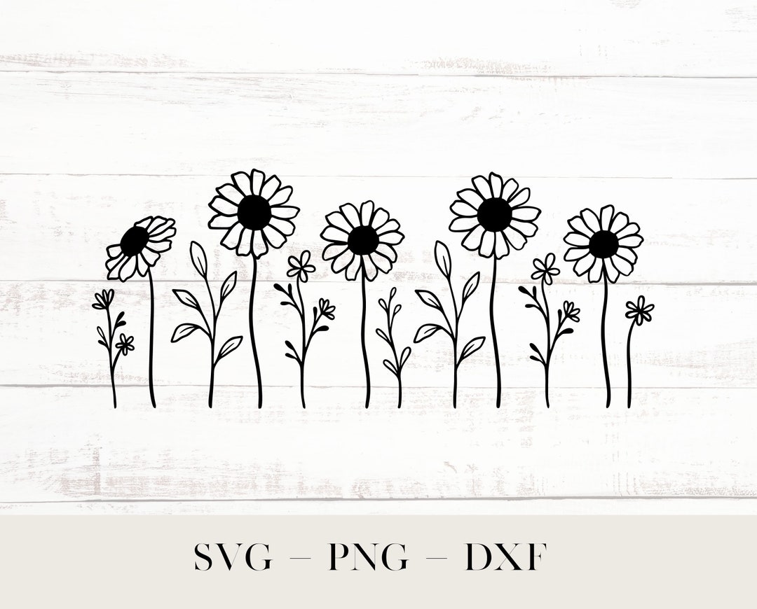 Simple Daisy SVG, Sprinf Flowers SVG, Daisy Silhouette, Daisies Svg ...
