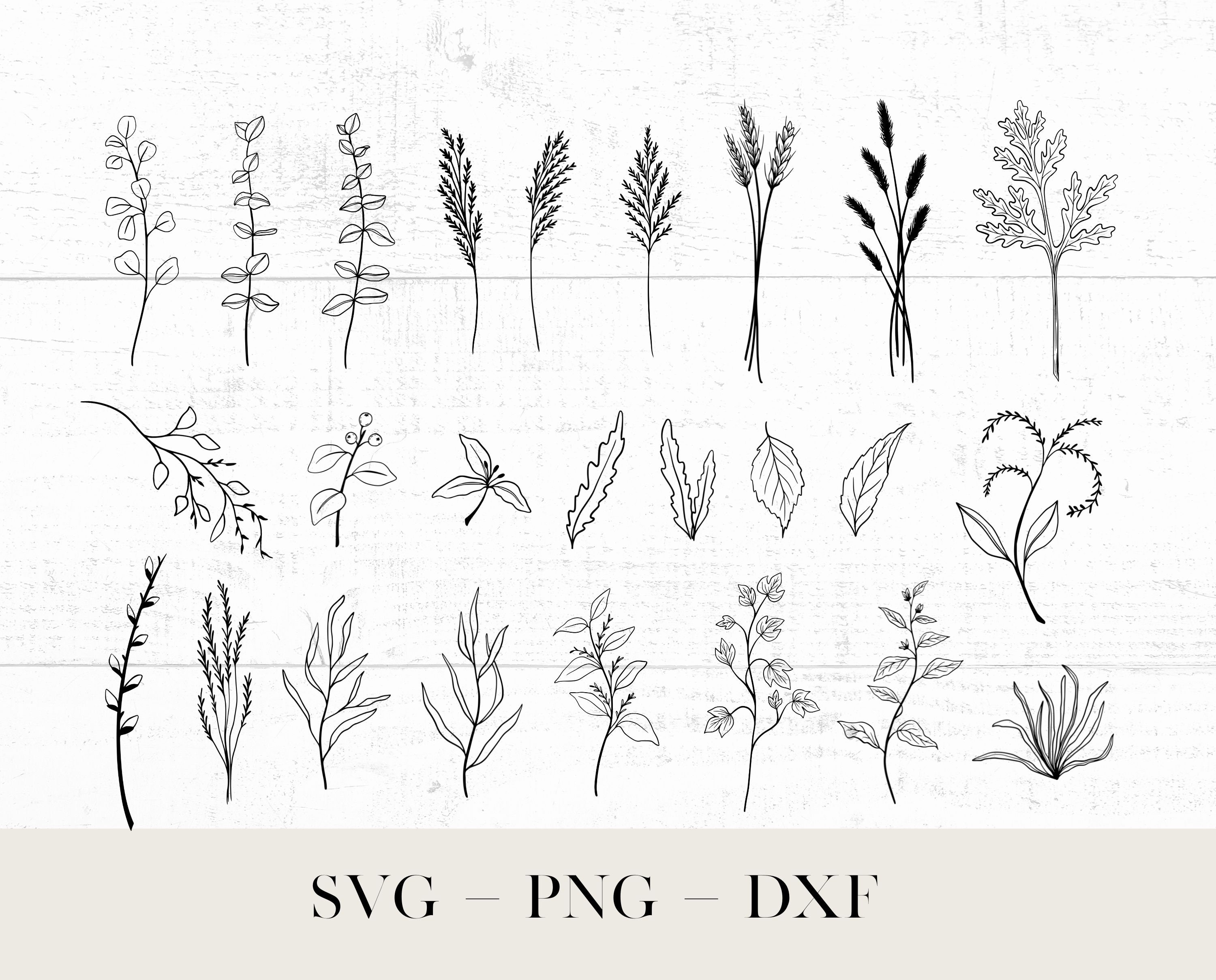 Hojas Y Ramas SVG Paquete Leaf Svg Imágenes Prediseñadas - Etsy México