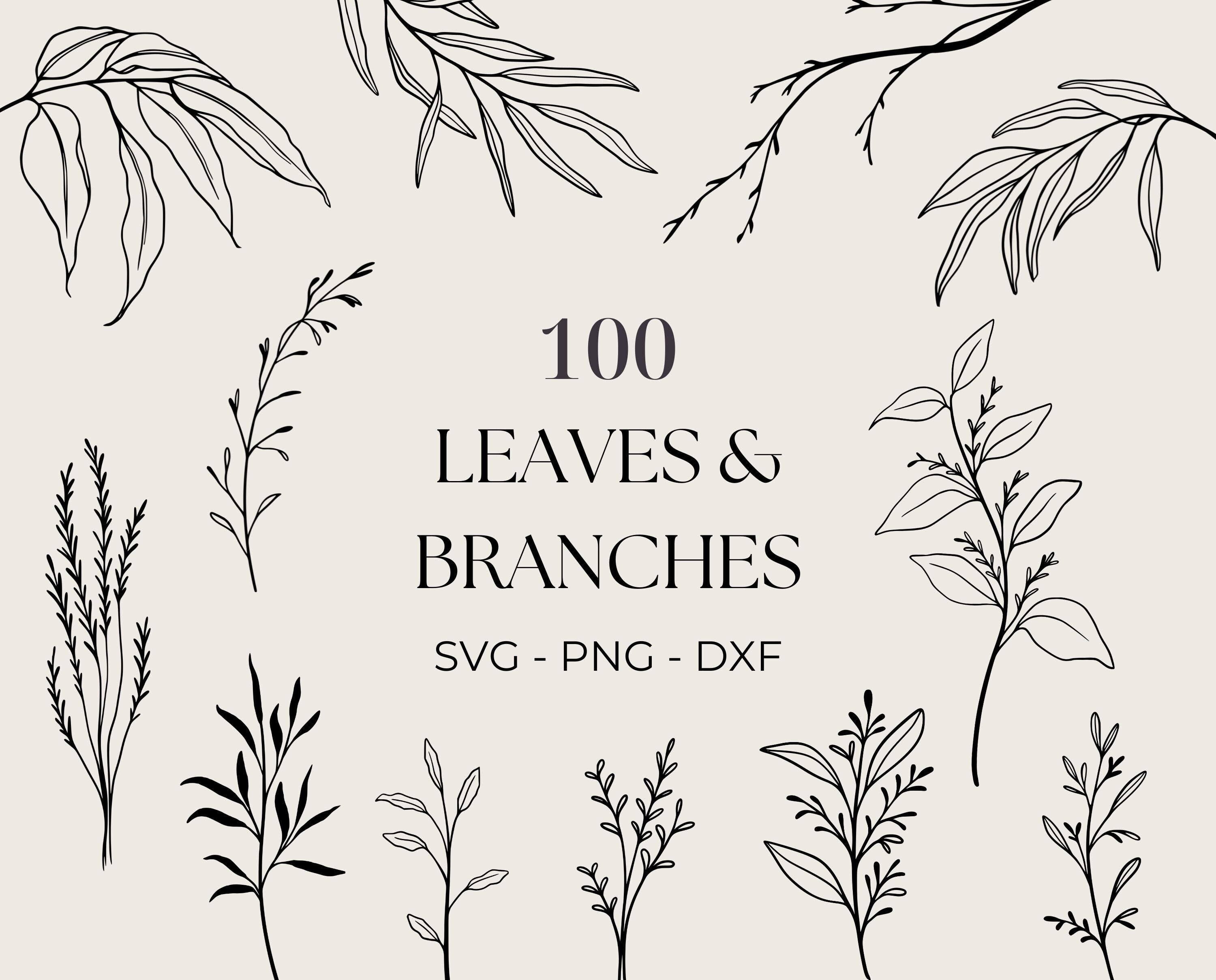 Hojas Y Ramas SVG Paquete Leaf Svg Imágenes Prediseñadas - Etsy México