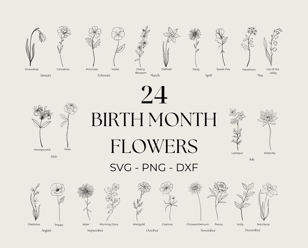 Birth Month Flowers Png, Flower Svg, Botanical Vector Graphics, Flower ...