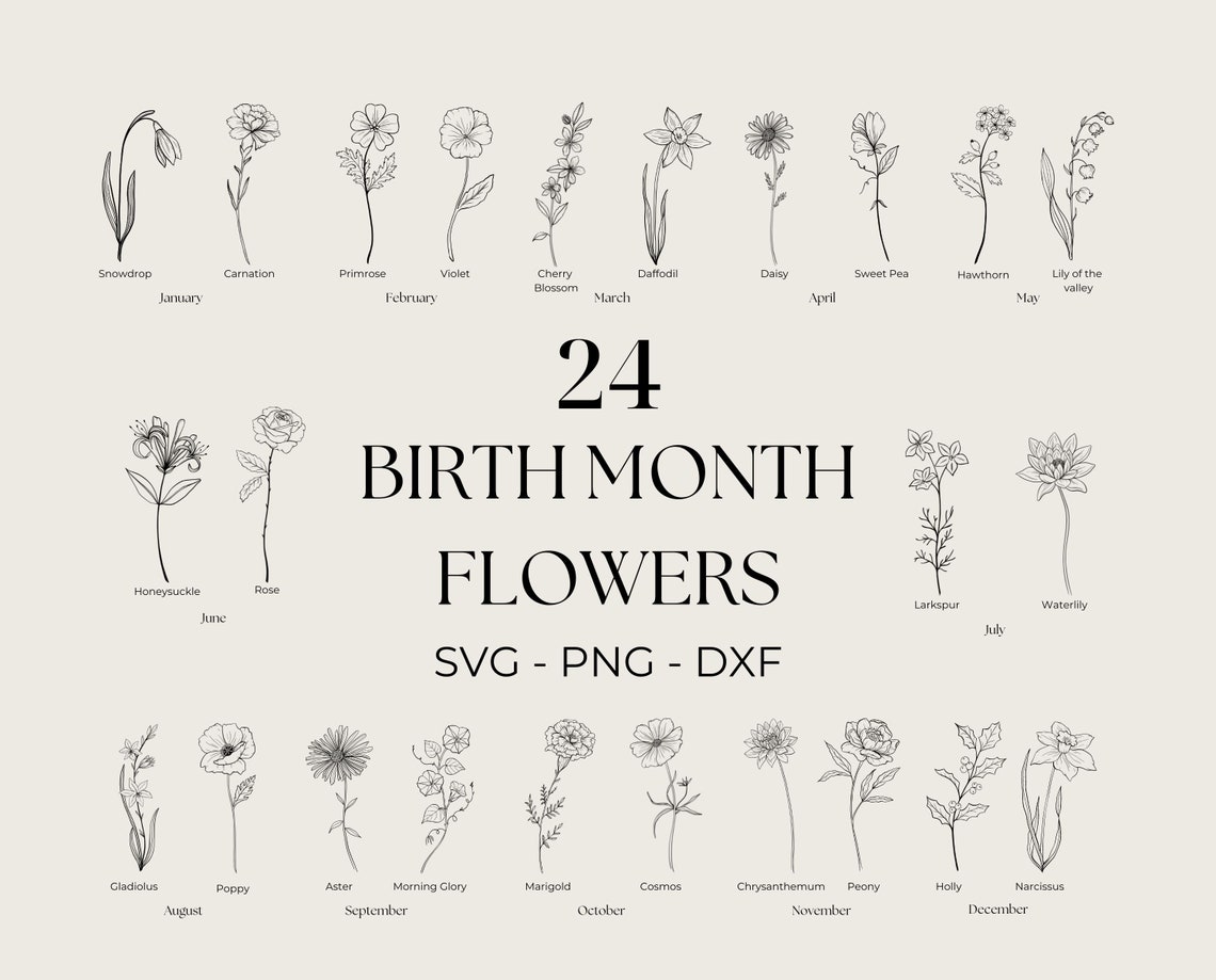 Birth Month Flowers Png Flower Svg Botanical Vector - Etsy