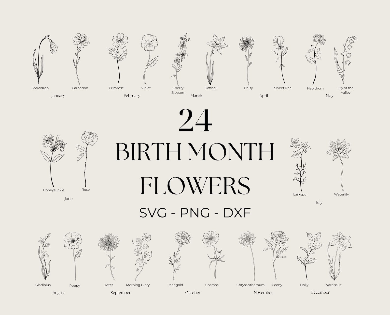 Birth Month Flowers Png, Flower Svg, Botanical Vector Graphics, Flower ...