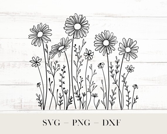 Daisy Clipart Black And White Border