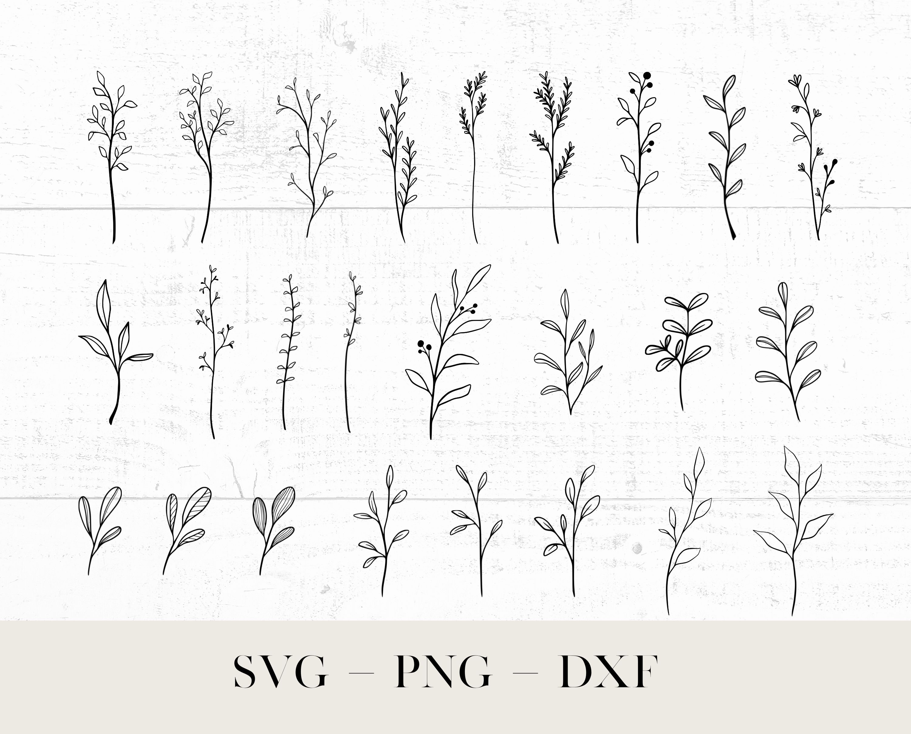 Hojas Y Ramas SVG Paquete Leaf Svg Imágenes Prediseñadas - Etsy México