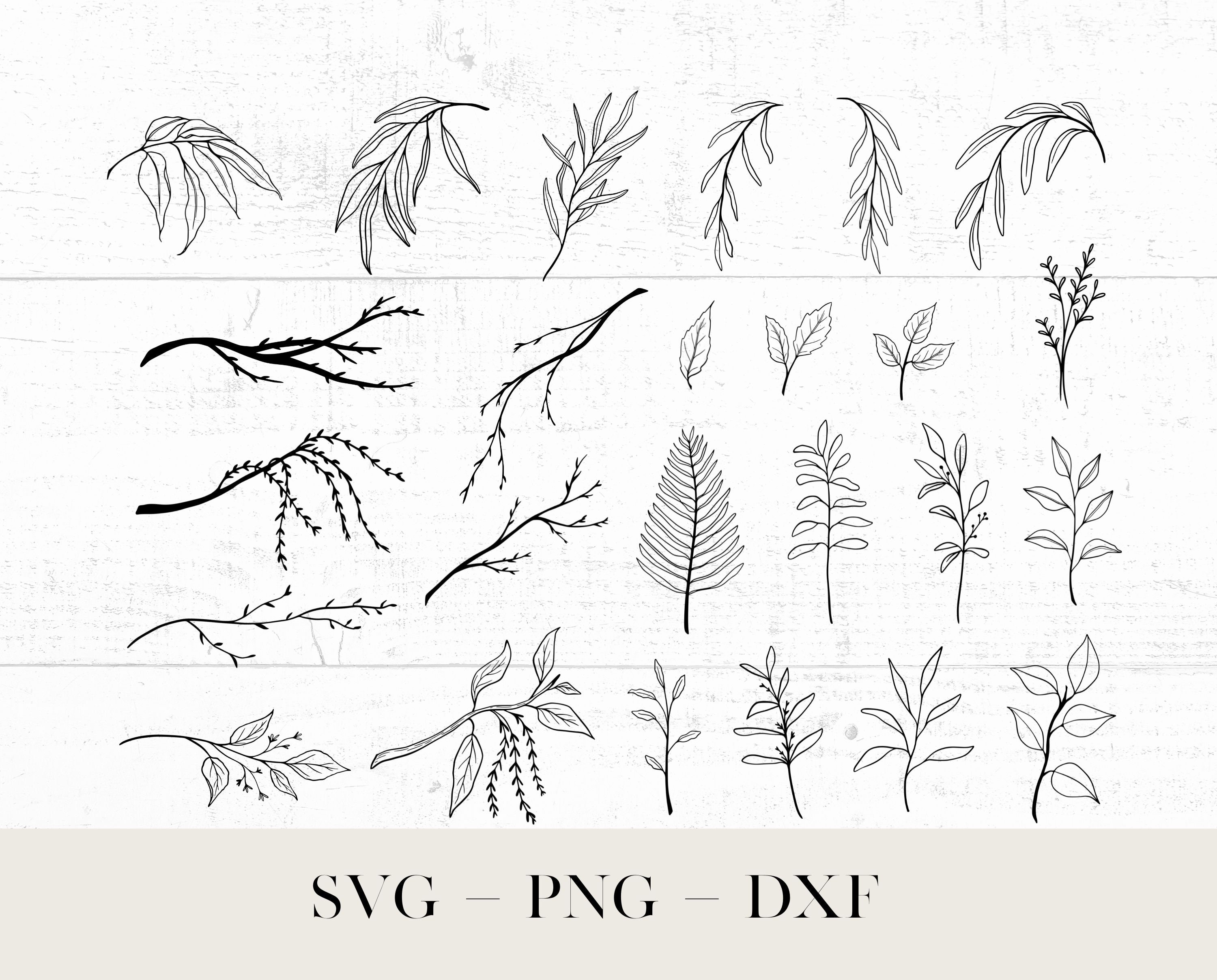 Hojas Y Ramas SVG Paquete Leaf Svg Imágenes Prediseñadas - Etsy México