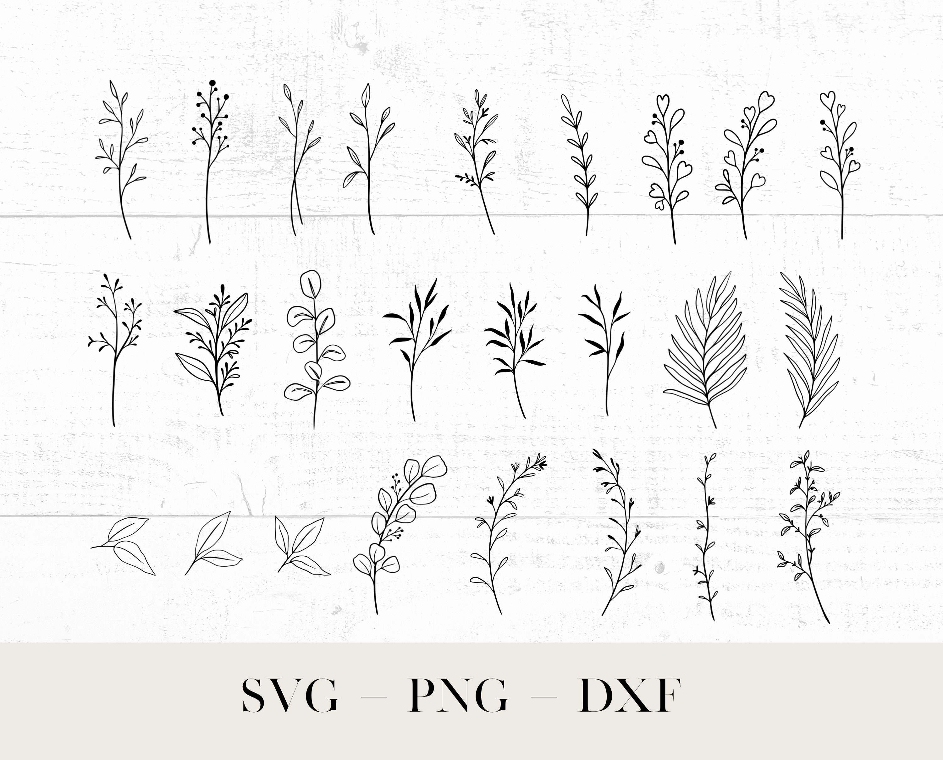 Hojas Y Ramas SVG Paquete Leaf Svg Imágenes Prediseñadas - Etsy México