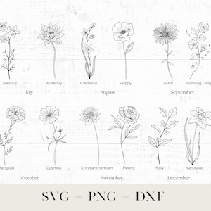 Birth Month Flowers Png, Flower Svg, Botanical Vector Graphics, Flower ...