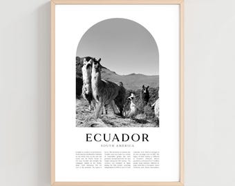 Riobamba Ecuador Travel Poster: South America Art Print - Etsy
