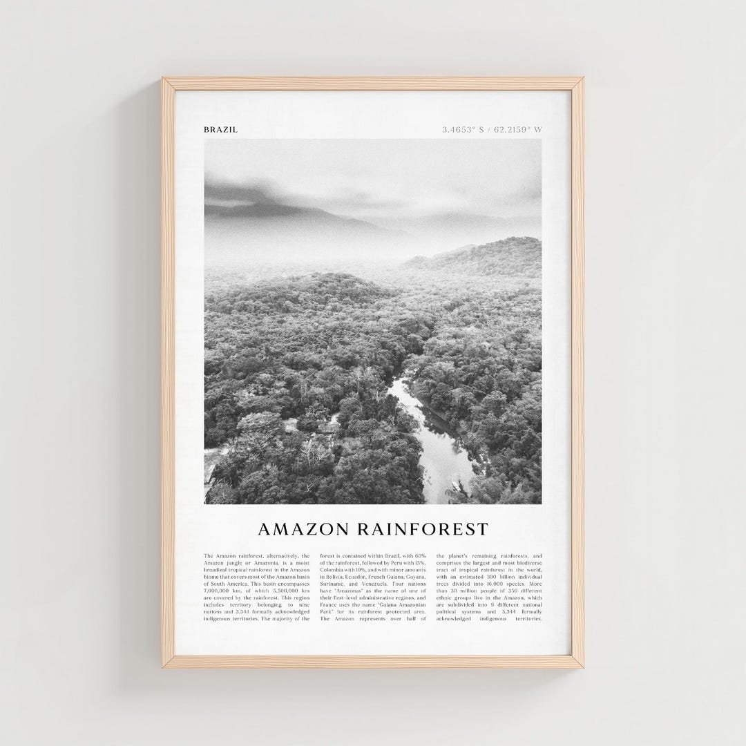 Amazon Rainforest Vintage Travel Poster, Black and White Brazil Print ...