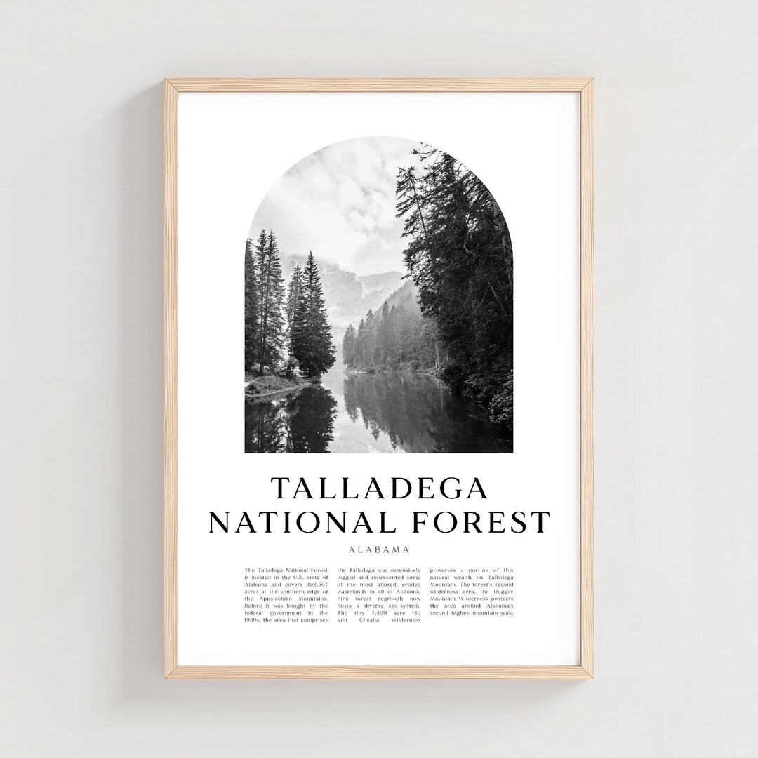 Talladega National Forest Travel Poster, Talladega National Forest ...