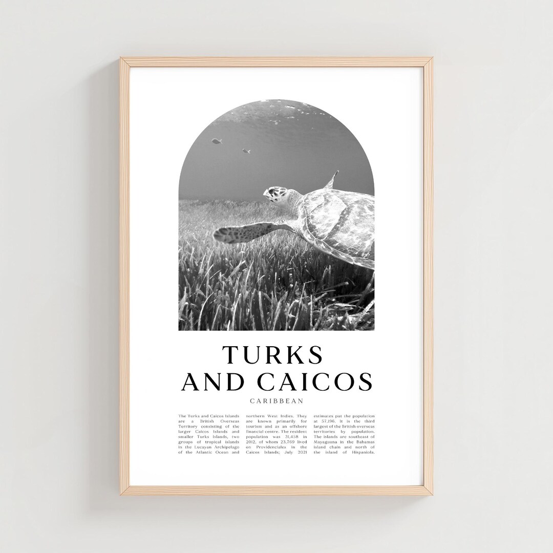 Turks and Caicos Travel Poster, Turks Print, Turks and Caicos Wall Art ...