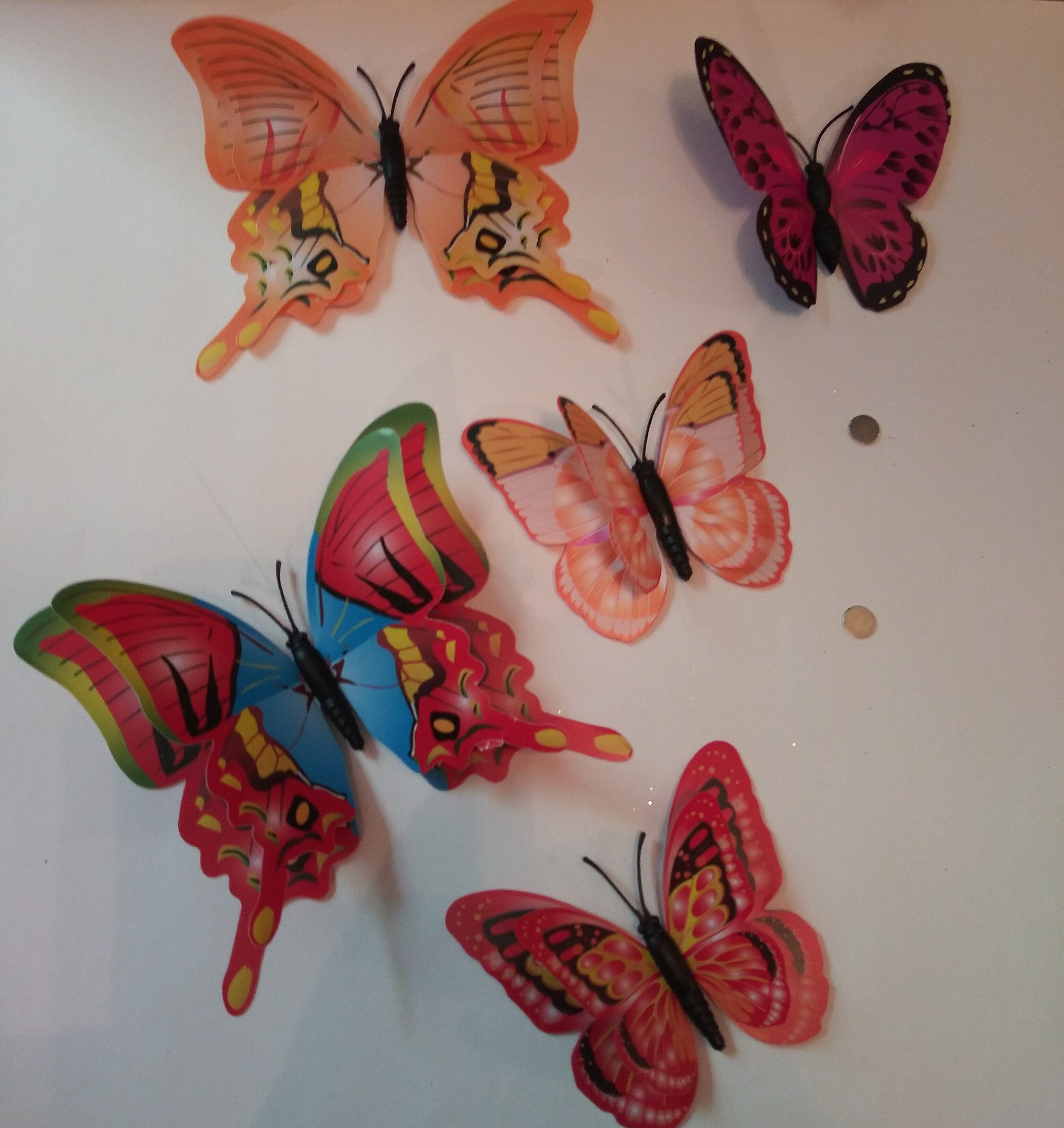 DIY Refrigerator Magnets Craft Kit Beautiful Butterflies Three | Etsy