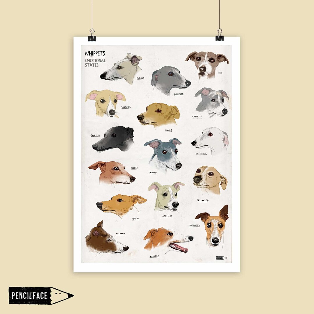 Whippet Art Print, Whippets Artwork, Whippet Poster, Whippets Wall Art ...
