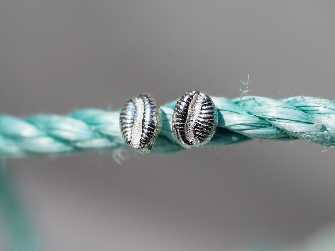 Cowrie Shell Silver Stud Earrings| Cowry Studs, Sand Cast Recycled ...