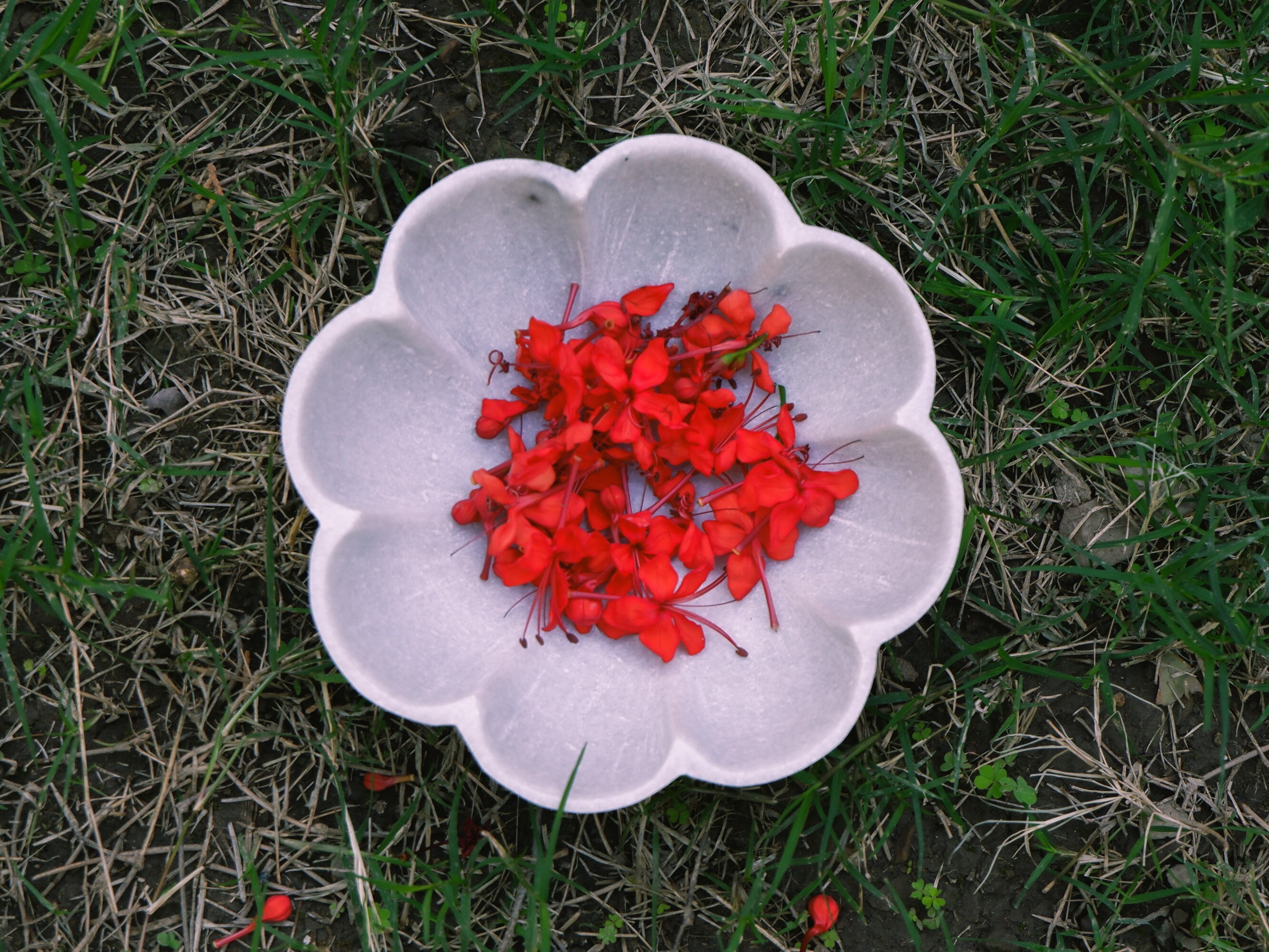 Marble Bowl Marble Scalloped Bowl Ruffle Bowl Jewellery - Etsy
