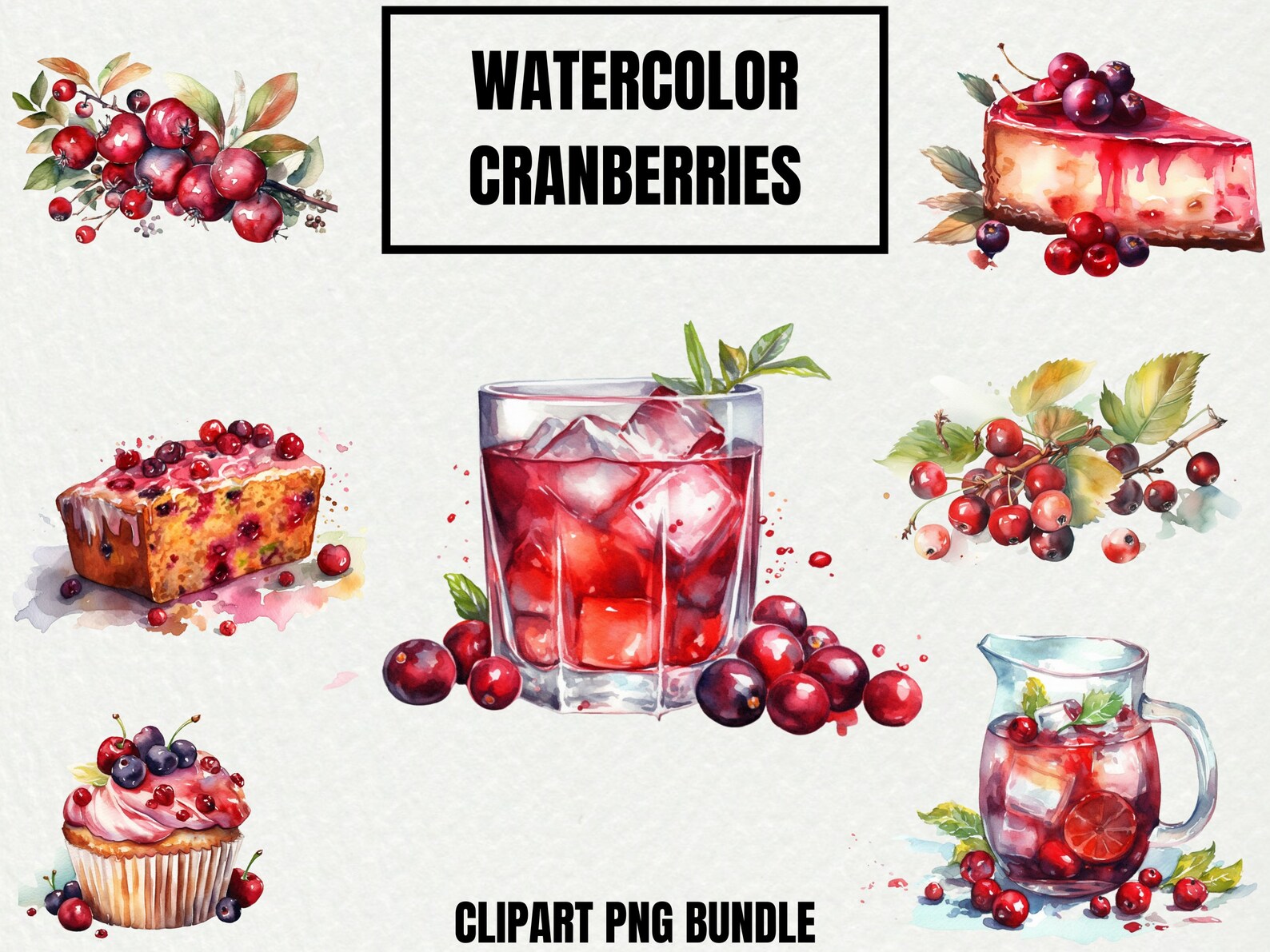 Watercolor Cranberries Clipart Bundle | Digital PNG Cranberry Fruit ...