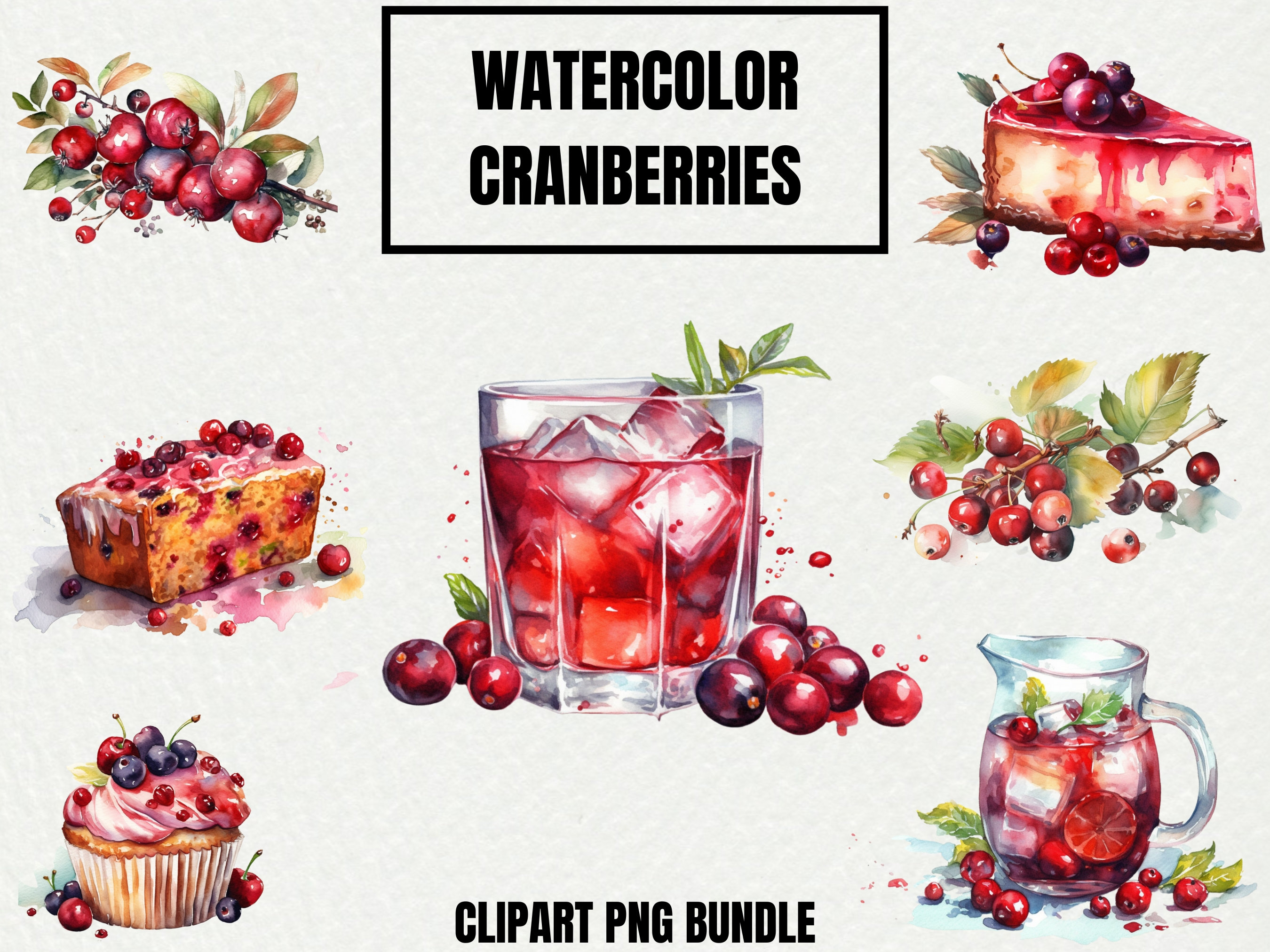Watercolor Cranberries Clipart Bundle | Digital PNG Cranberry Fruit ...