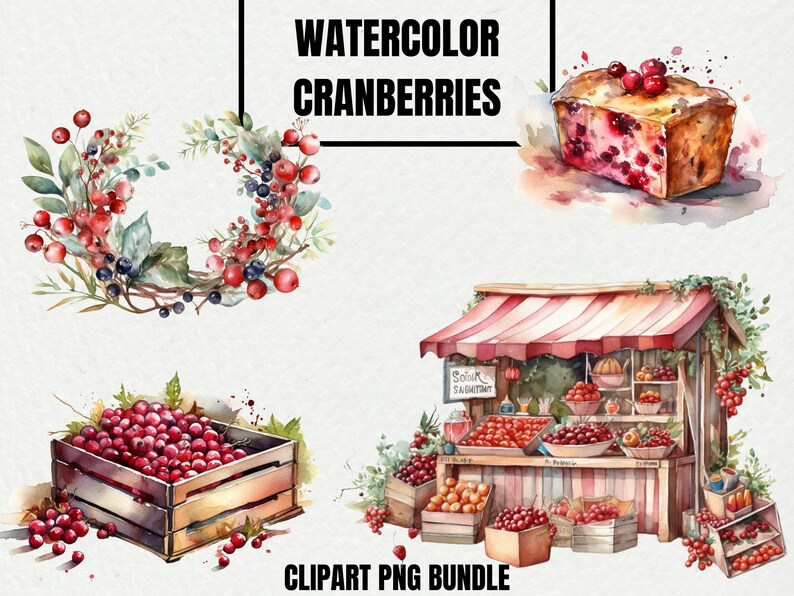 Watercolor Cranberries Clipart Bundle | Digital PNG Cranberry Fruit ...