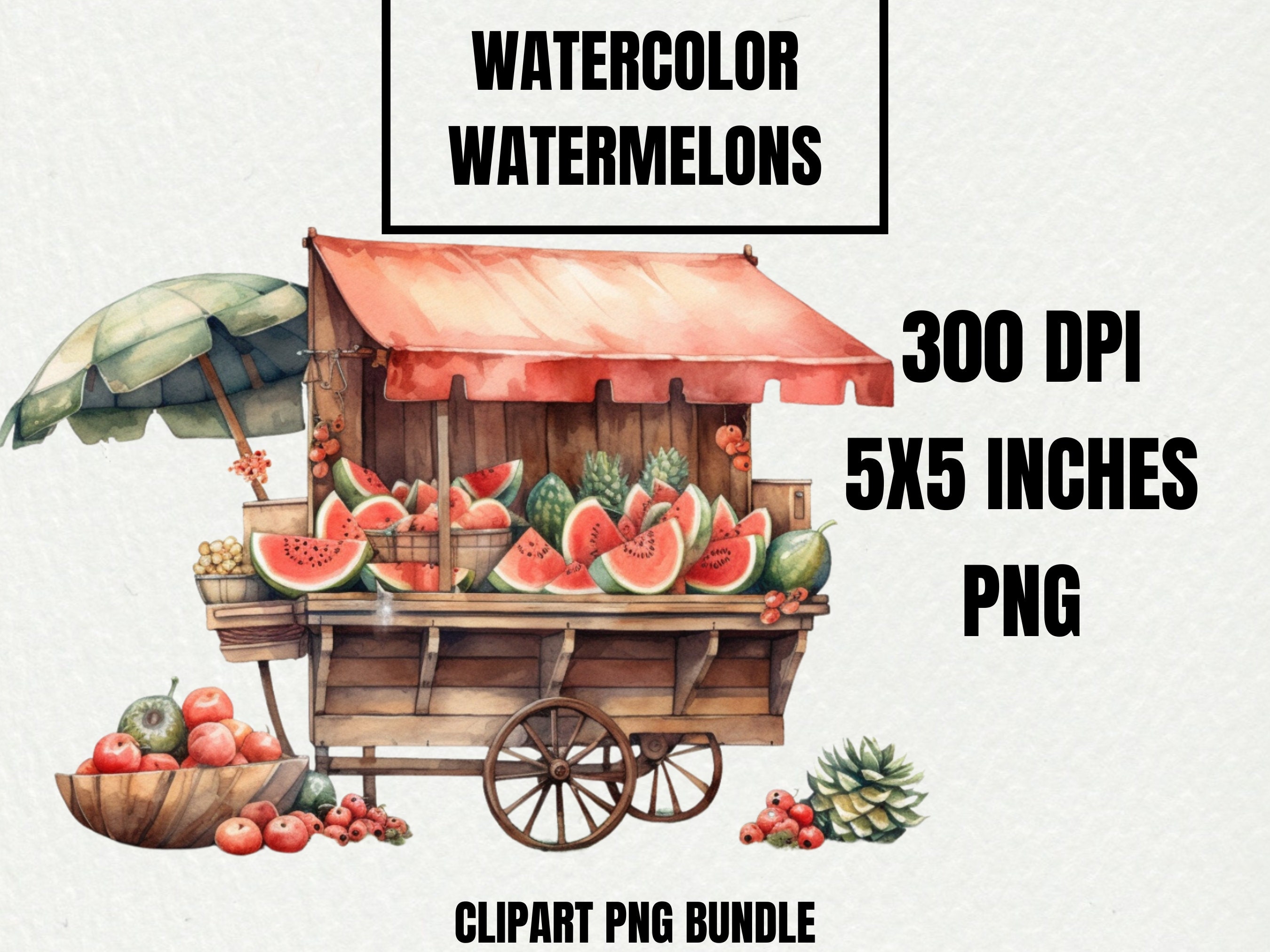 Watercolor Watermelon Clipart Bundle Watermelons Digital PNG Summer ...