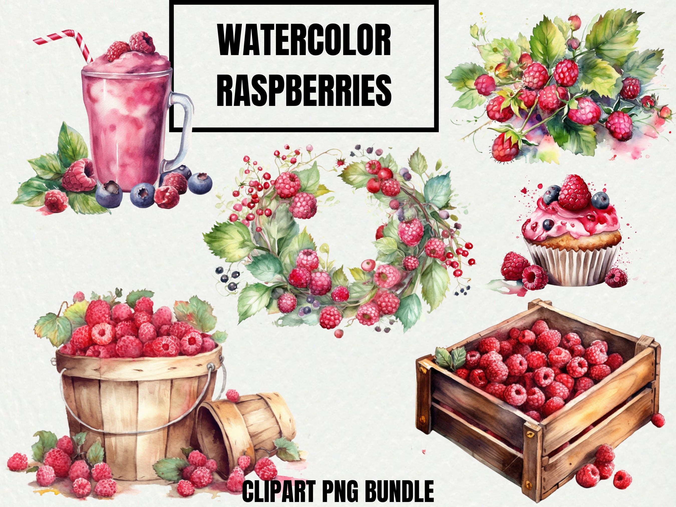 Watercolor Raspberry Clipart Bundle Raspberries Digital PNG Fruit ...