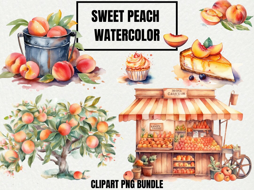 Watercolor Peaches Clipart Bundle | Digital PNG Sweet Peach Fruit ...